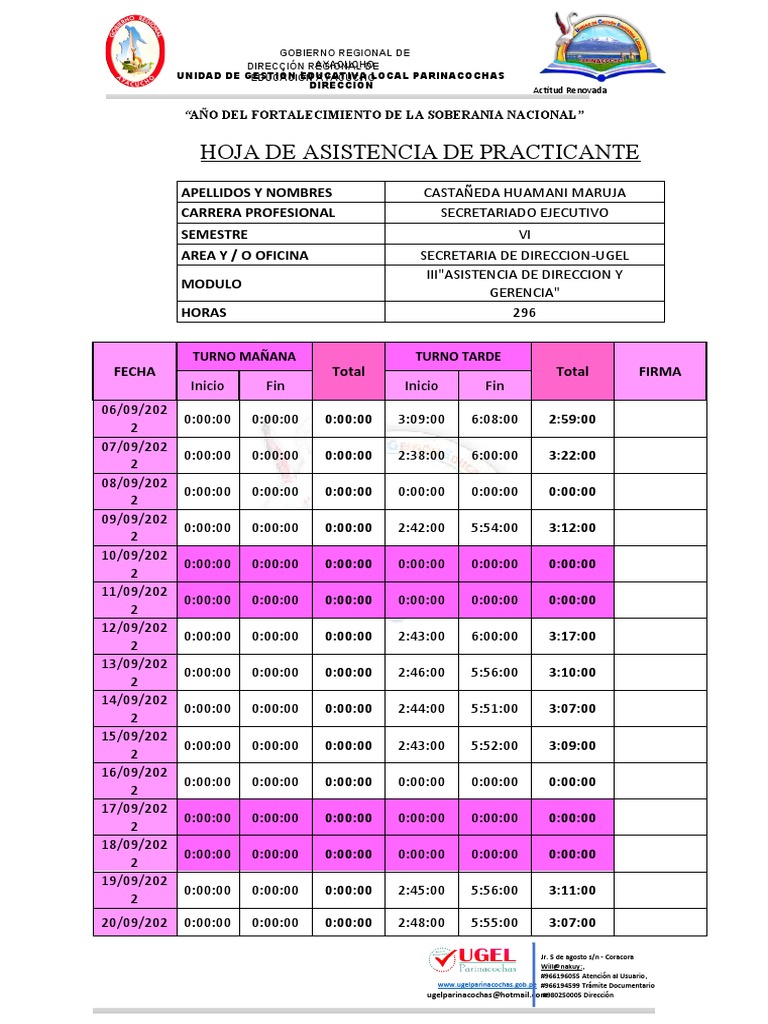Hoja de Asistencia Del Practicante | PDF