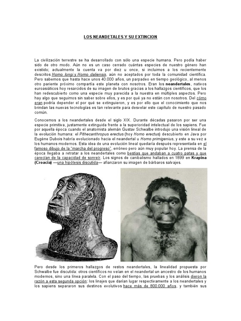 Los Neandertales | PDF | neanderthal | Humano
