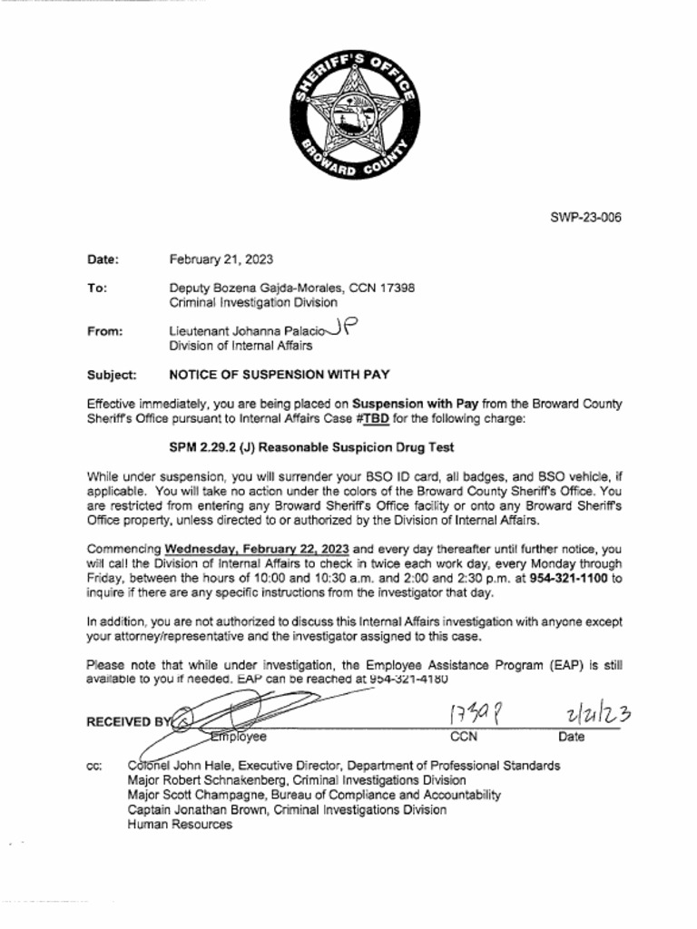 Suspension Documents | PDF