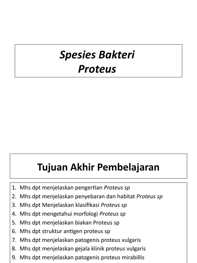 Proteus SP 10 | PDF