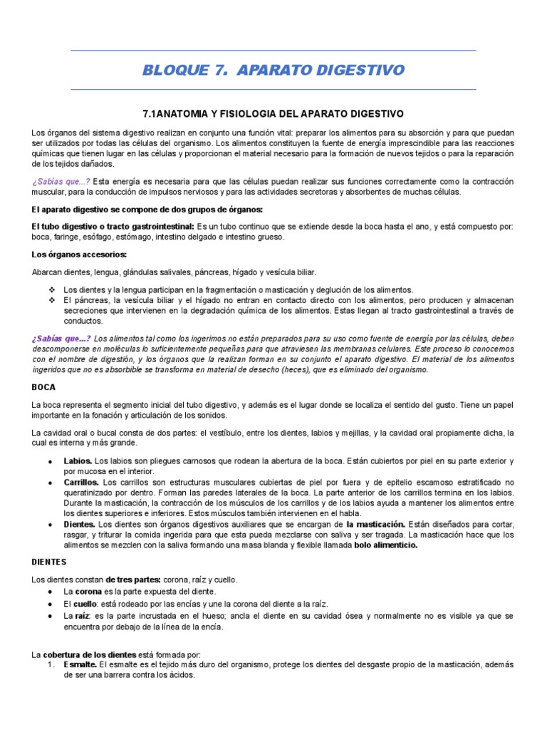 Bloque 7 - Bloque 12 | PDF | Digestión | Estómago
