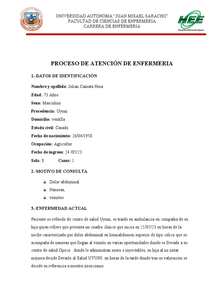 PAE DEFENSA FINAL Cama1 | PDF | Enfermería | Medicina CLINICA