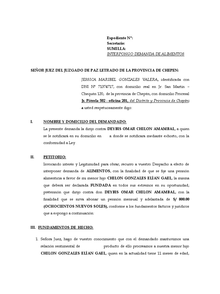 Demanda de Alimento - Jessica Maribel Gonzales Valera - Actual | PDF ...