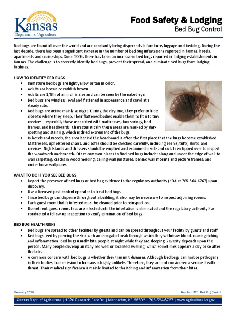 71 Bed Bug Information Hl Pdf Bed Diseases And Disorders
