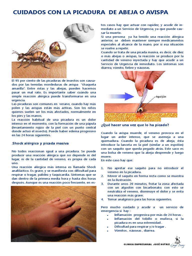 Picadura de Abeja o Avispa | PDF | Avispa | Especialidades Medicas