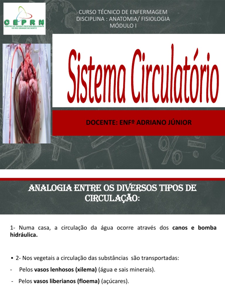 AULA 05 - Sistema Circulatório | PDF | Coração | Sistema circulatório