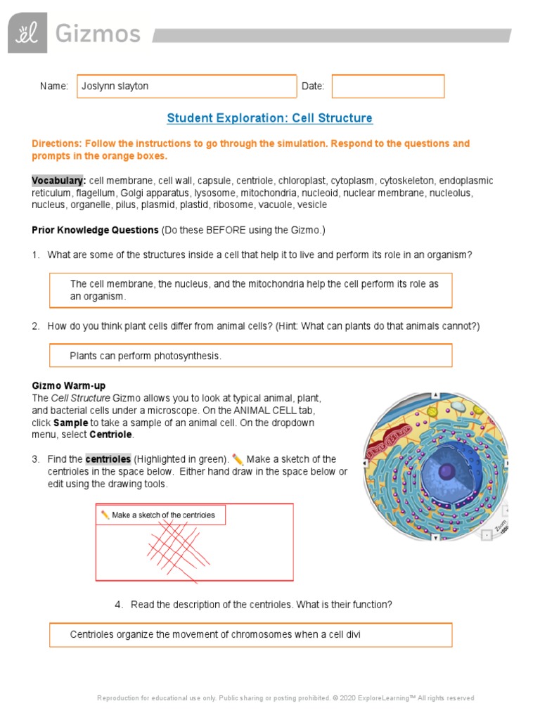 Student Handout 01 - Cell Structure | PDF | Cell (Biology) | Cell Membrane