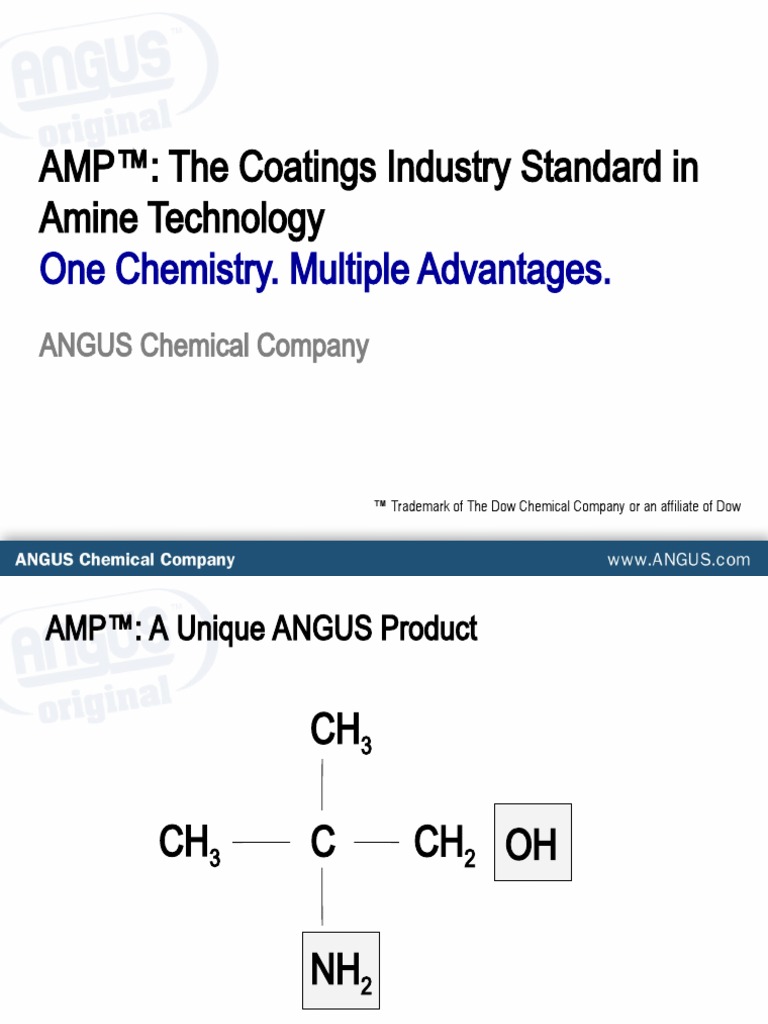 Amp 95 | PDF | Paint | Materials