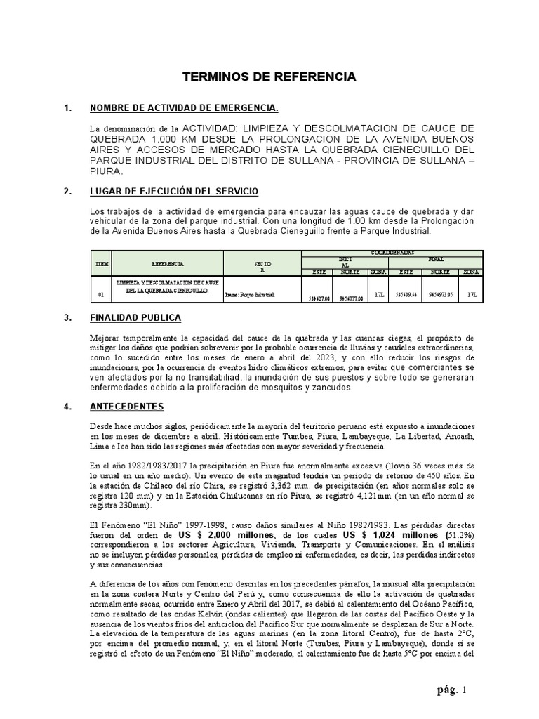 TDR Quebrada | PDF | El niño | Inundar