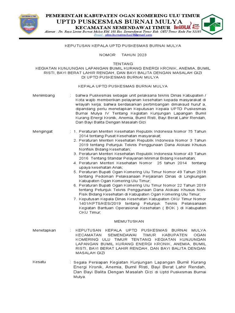 6.b SK Kunjungan Lapangan Bumil KEK | PDF