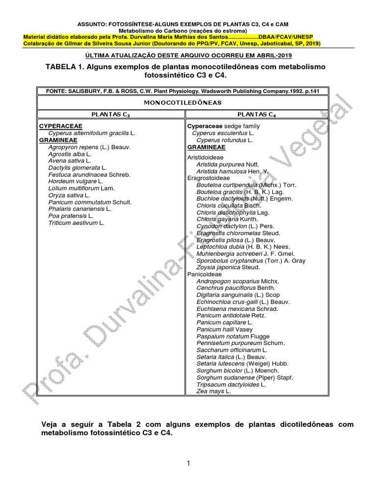 Texto 309 Fotossintese Listagem de Plantas c3 c4 e Cam 2019 | PDF ...