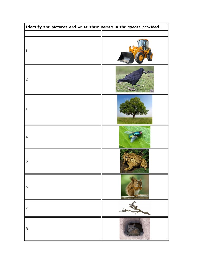 2 in 1 Page - Colour | PDF