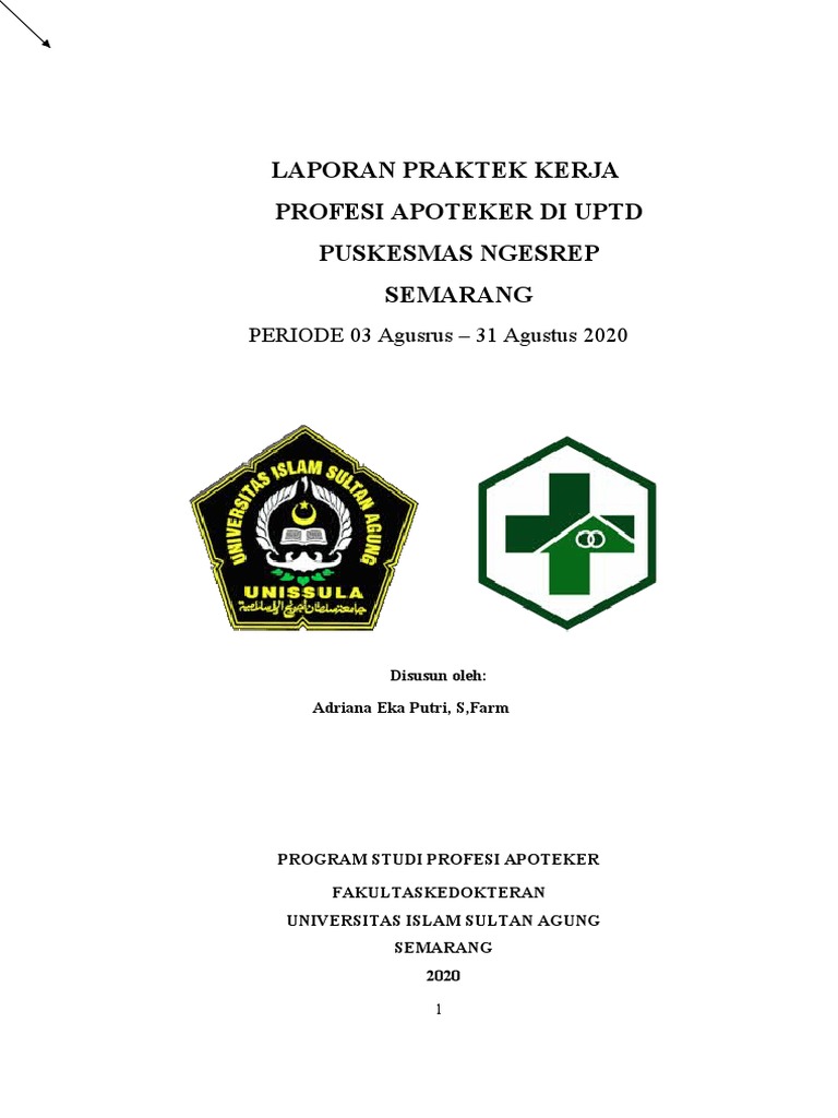 Lap. Pkpa Puskesmas Fix | PDF
