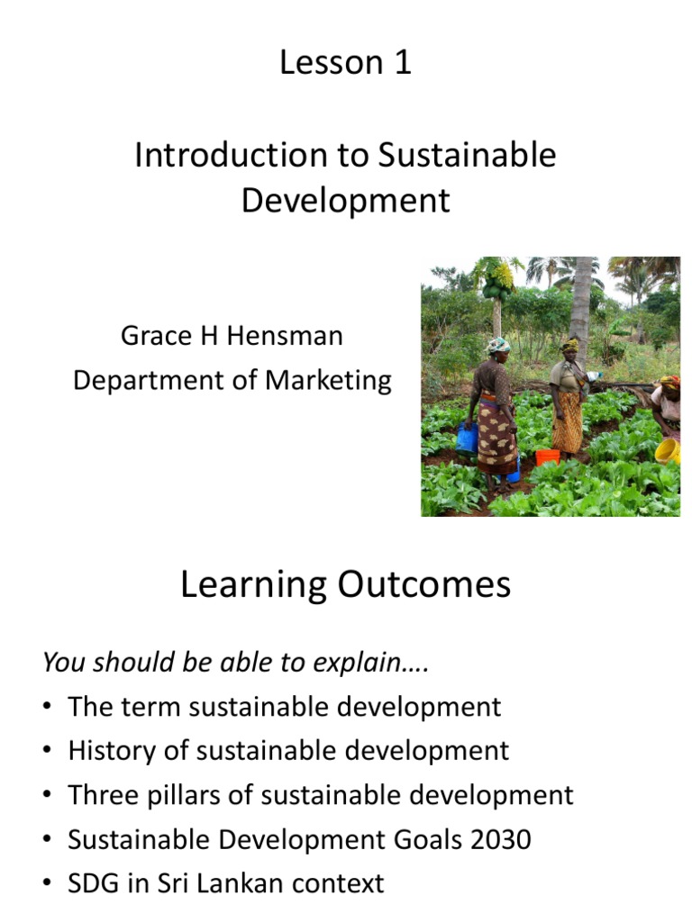 Lesson 1 | PDF | Sustainability | Sustainable Development