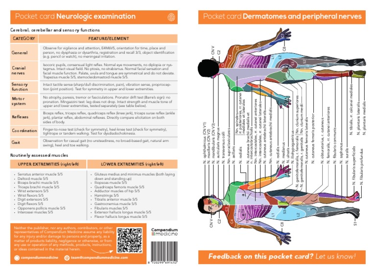 Compendium Medicine Free Pocket Card Neurology | PDF | Musculoskeletal ...