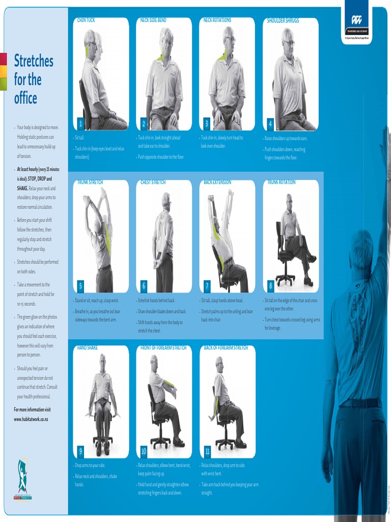 Acc5053 Stretches Office A2 | PDF