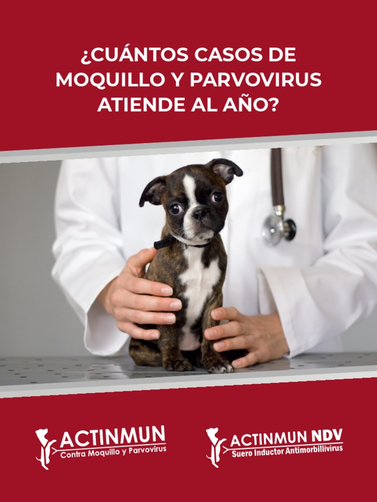 BROCHURE 4 Marzo - ACTINMUN | PDF