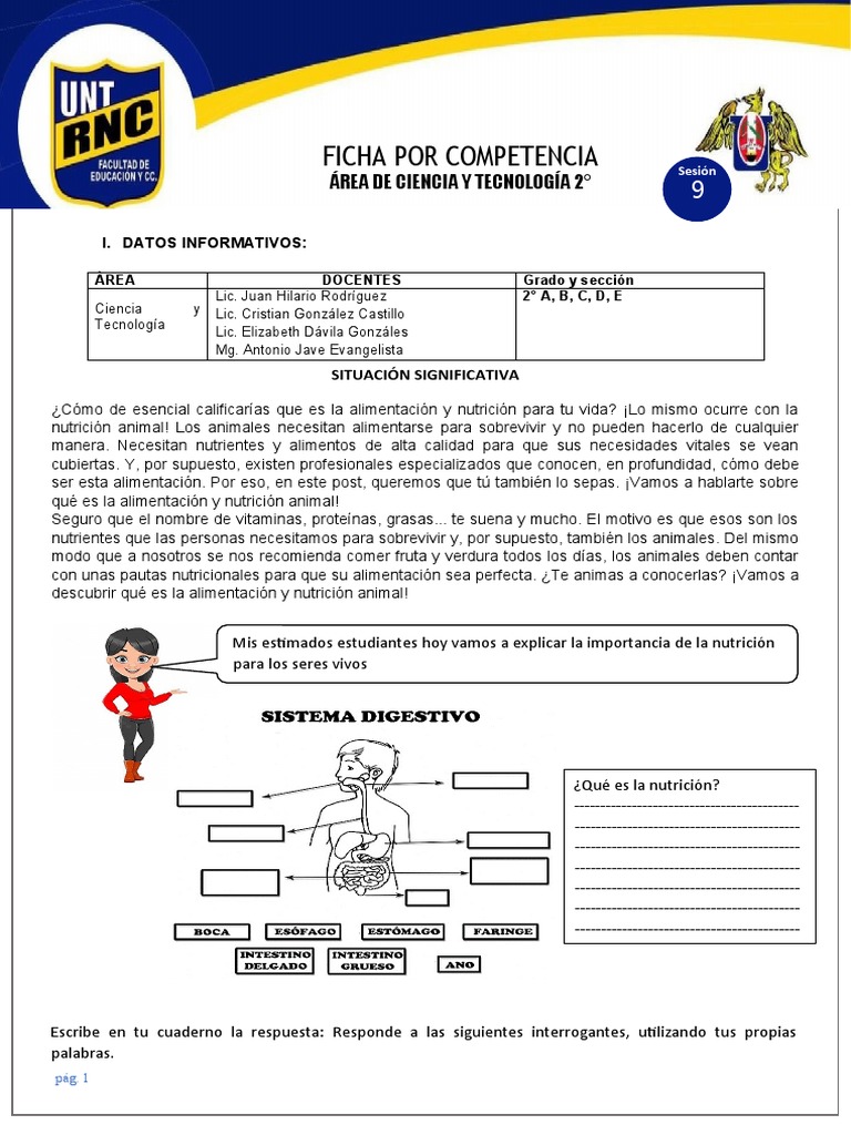 Ficha - de - Sesiã N - Nâ°09 - Ii - Unidad - Cyt - 2â° - RNC | PDF | Digestión | Sistema ...