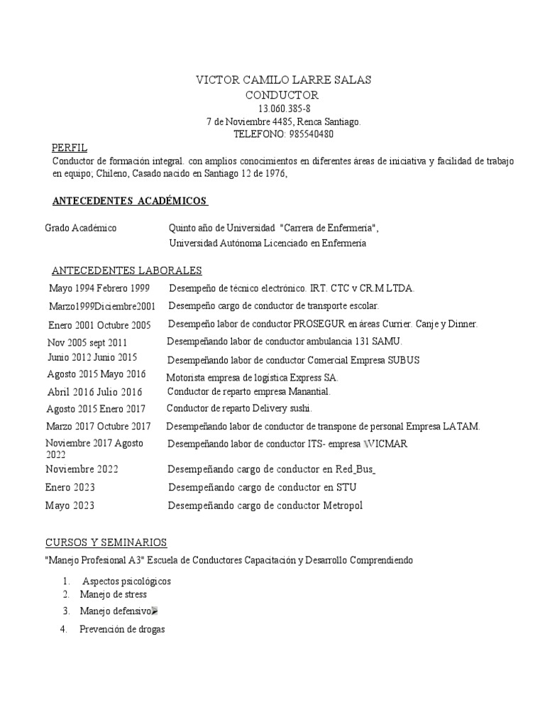 Curriculum Final Victor Larre | PDF