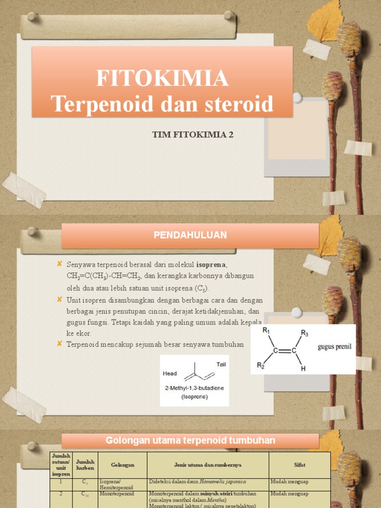 II.6.Terpenoid - Fitokimia 2022 | PDF