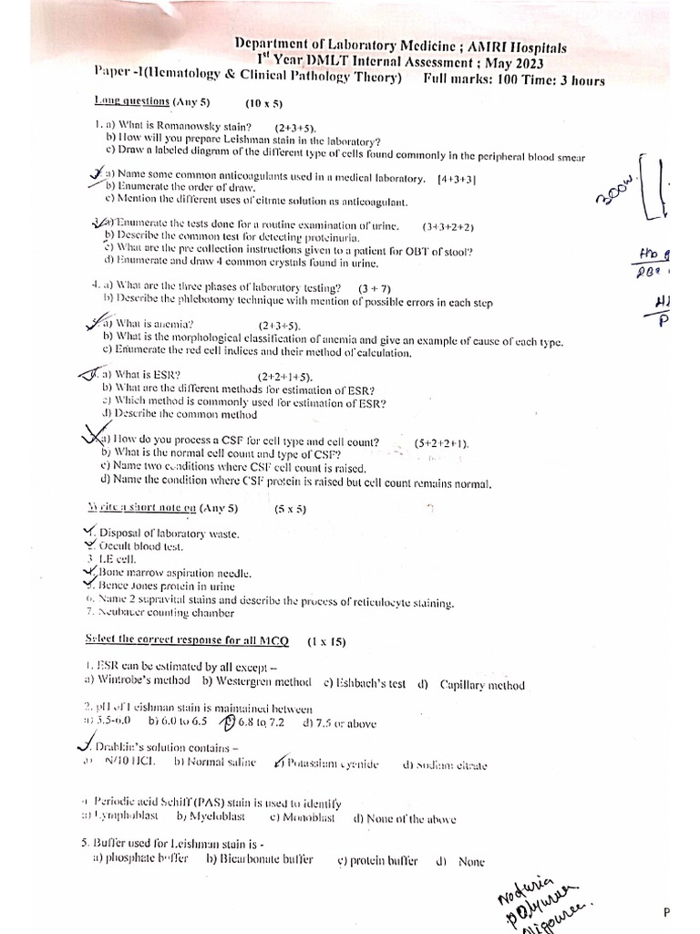 1st Year INTERNAL | PDF