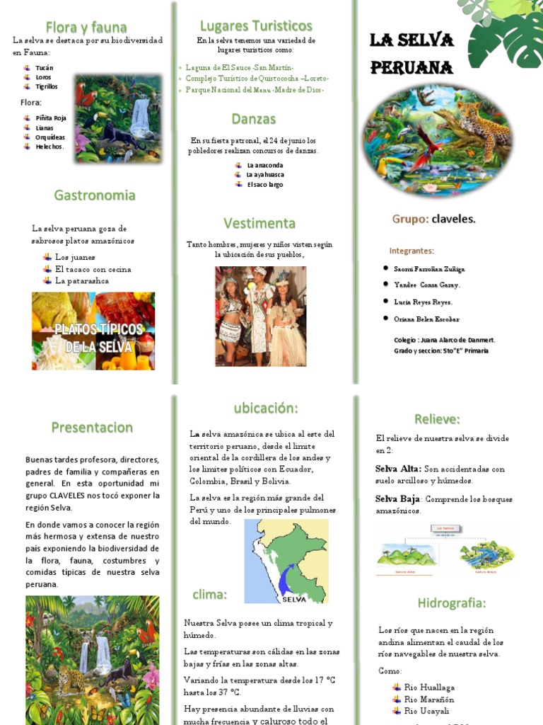 Triptico de La Selva Peruana | PDF | Selva amazónica | Perú