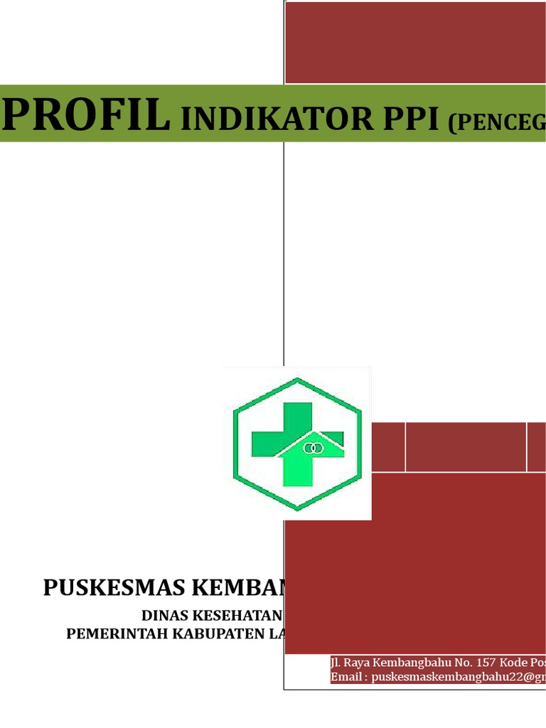 Profil Indikator Ppi 2022 | PDF