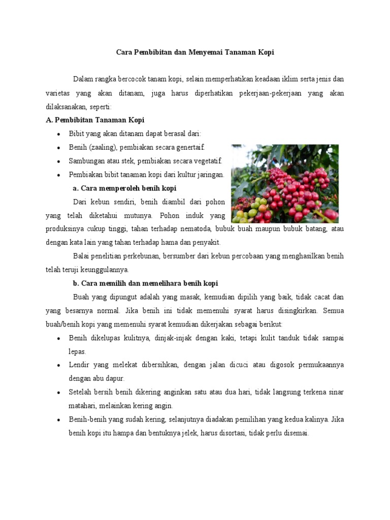 Cara Pembibitan Dan Menyemai Tanaman Kopi | PDF