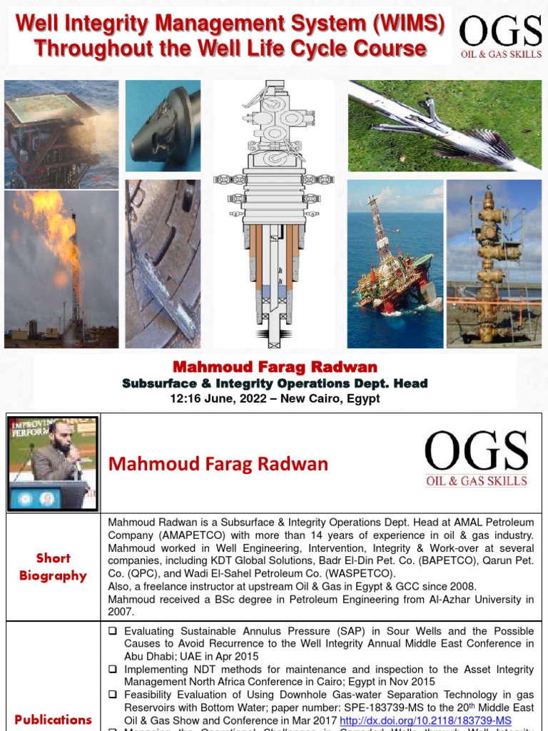 Well Integrity Management System | PDF | Casing (Borehole) | Leak