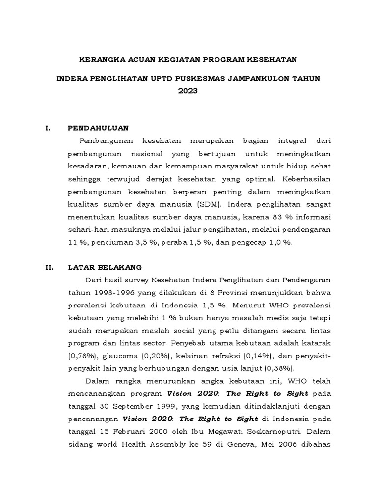 Kerangka Acuan Kegiatan Program Indera Penglihatan | PDF