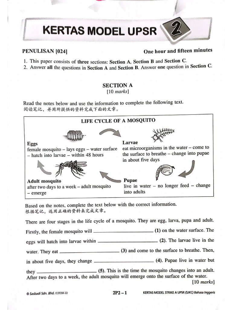 English - Upsr - Set 2 Paper 2 | PDF