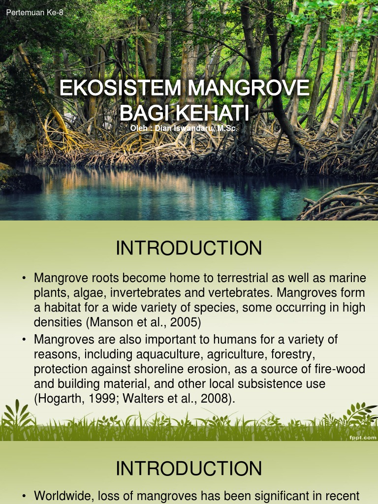 2-Fungsi Ekosistem Mangrove Dan Kehati | PDF | Ecology | Biogeography