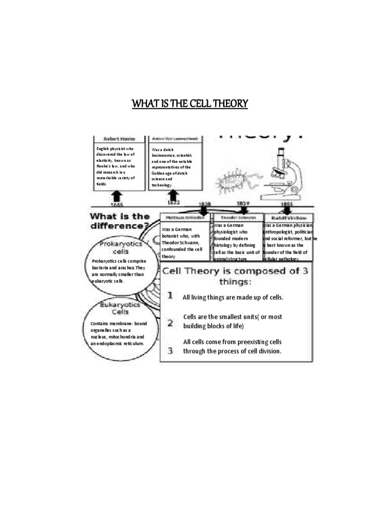 Cell Theory Worksheet | PDF
