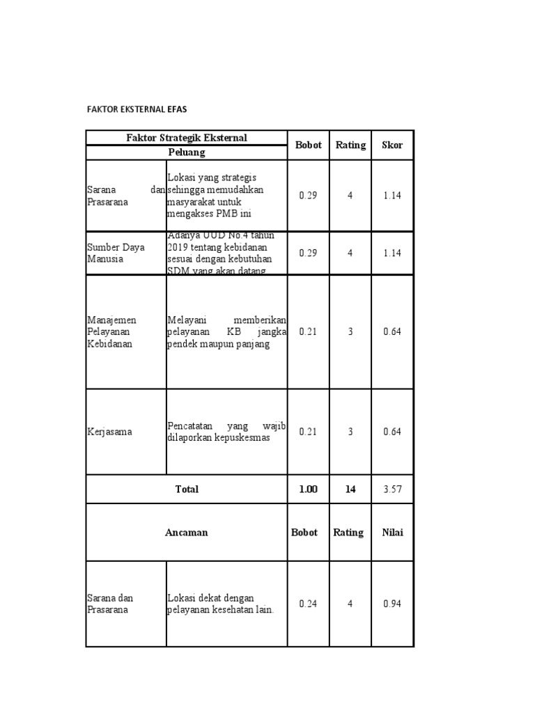 Excel Ifas, Efas, Nurlaila | PDF