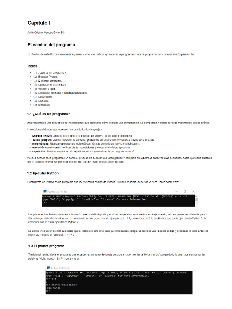 Capitulo 1 Python Resumen | PDF
