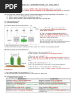 Worksheet Testing A Leaf For Starch | PDF