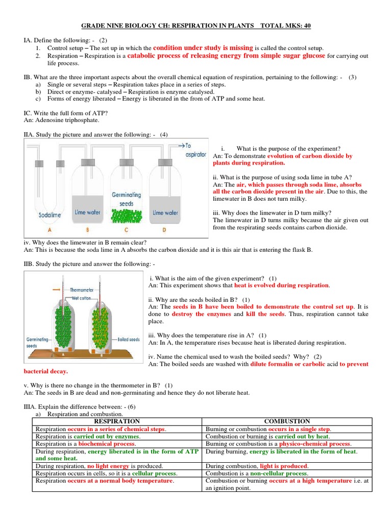 Biology - Respiration Answersheet | PDF | Cellular Respiration ...