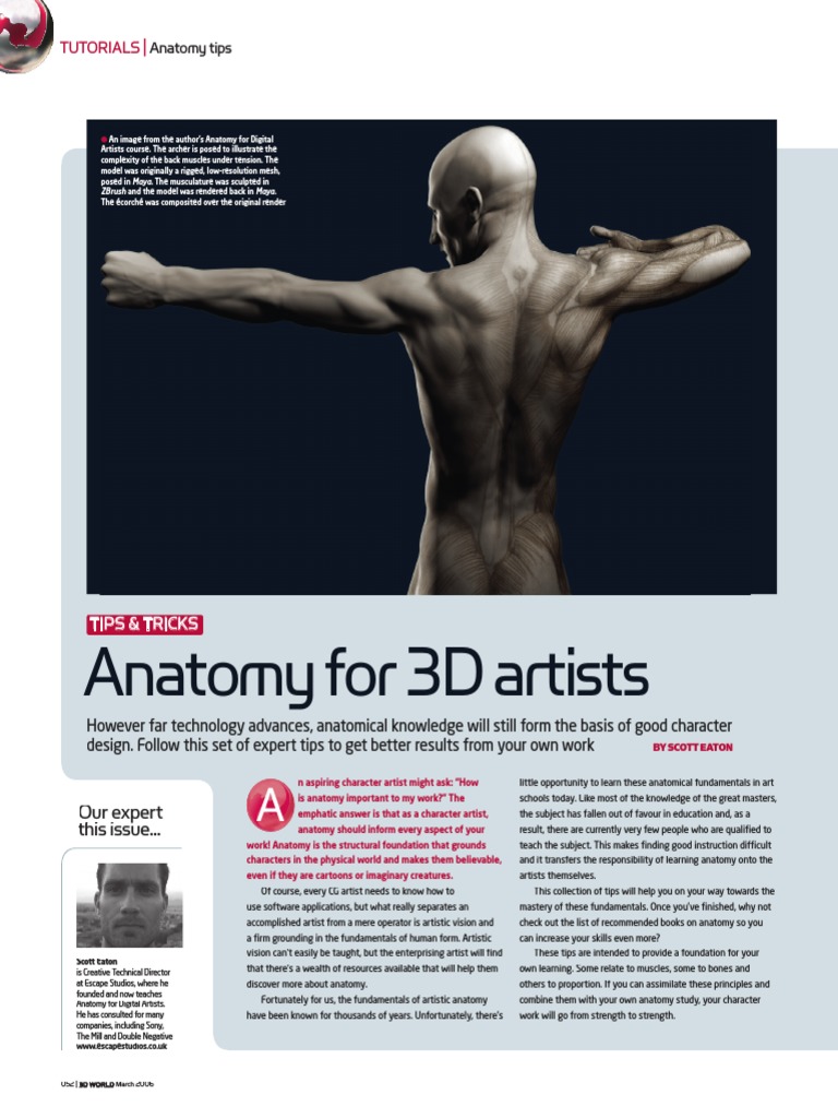 Anatomy For 3D Artists - Scott Eaton | PDF | Arm | Elbow