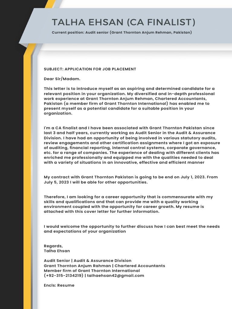 RESUME Talha Ehsan PDF | PDF | Audit | Accounting