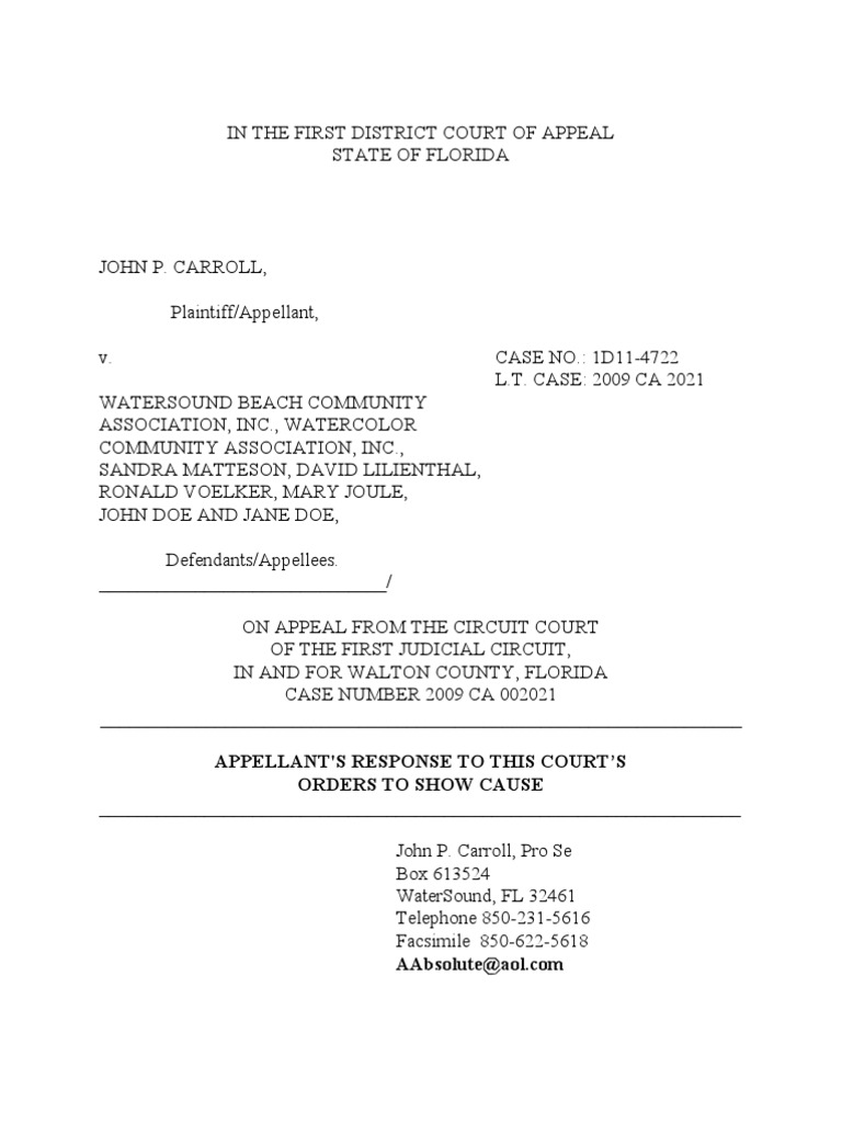 Florida Appellate Court Case Response | PDF | Summary Judgment ...