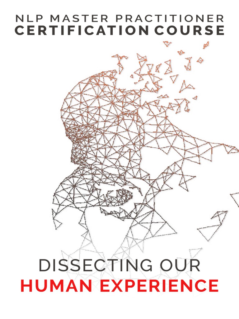 Dissecting Our Human Experience | PDF | Experience | Thought