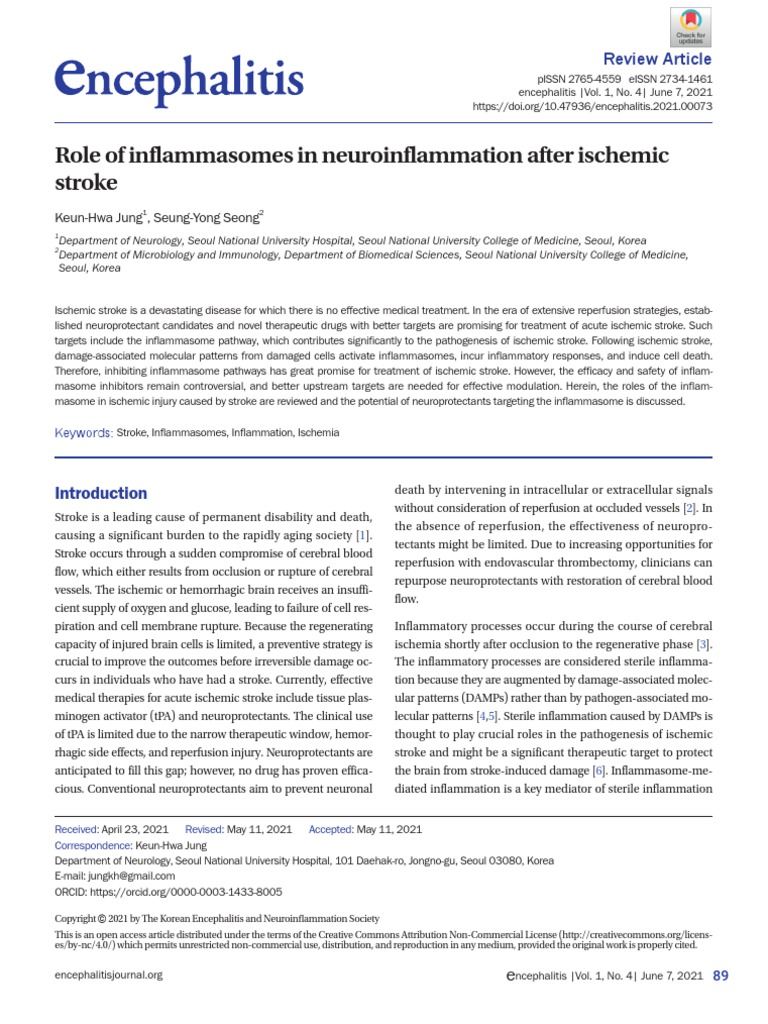 Research Paper Pdf Inflammation Innate Immune System