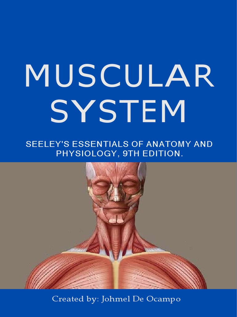 Anatomy - Physiology (Chapter 7 - Muscular System) | PDF | Muscle ...