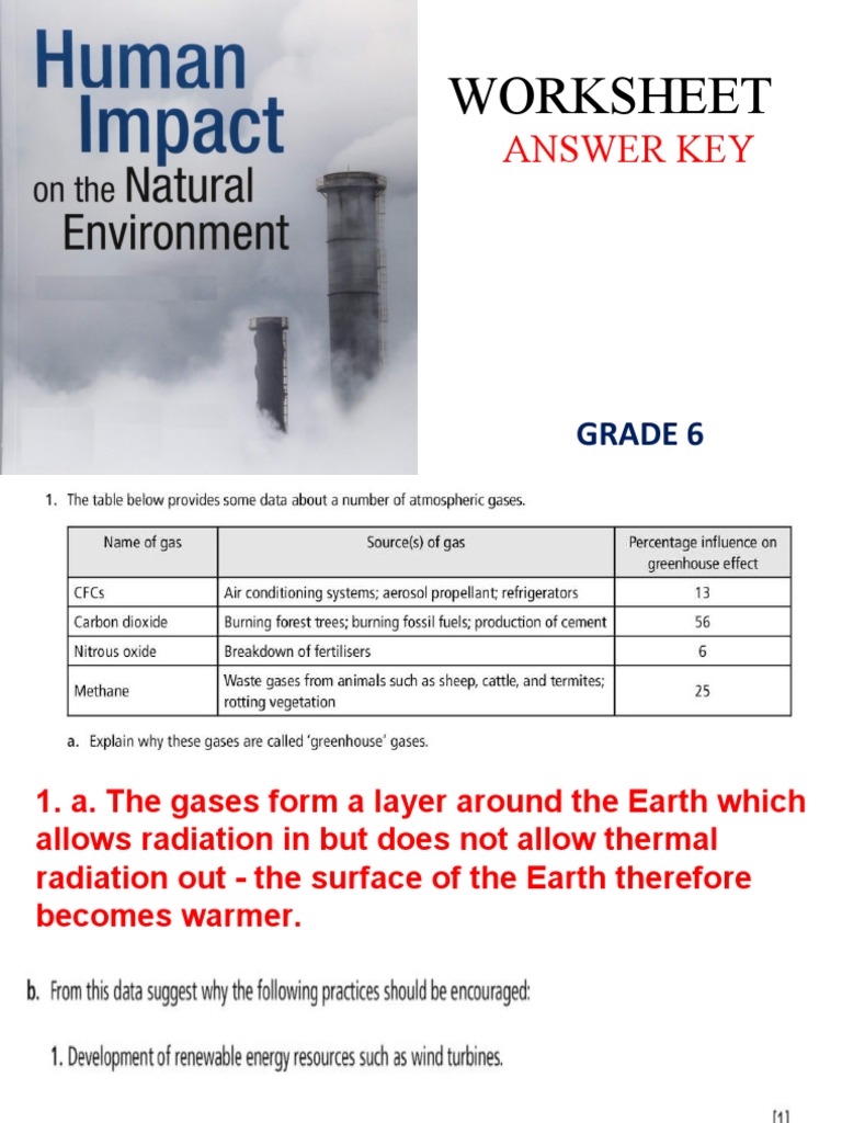 Worksheet Answer Key - Human Impact On The Environment | PDF