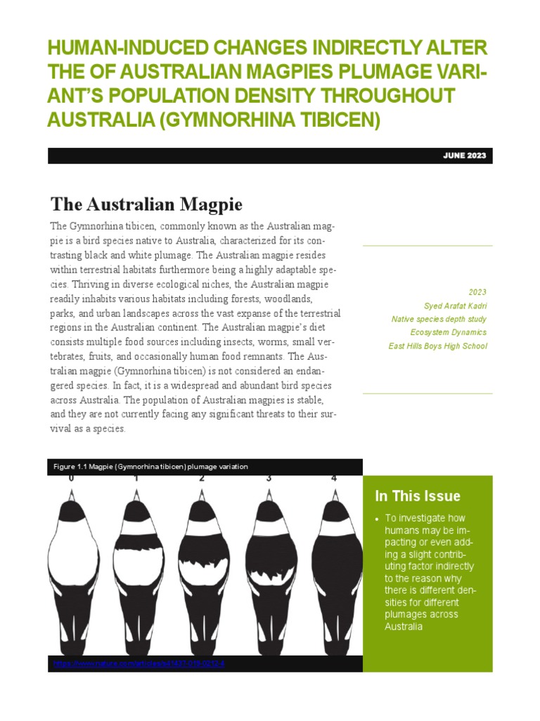 Magpie Research | Download Free PDF | Birds | Air Pollution