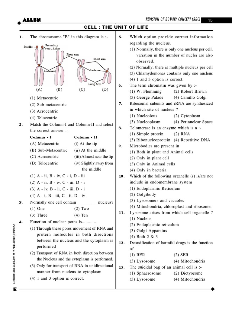 Cell | PDF | Cell (Biology) | Endoplasmic Reticulum