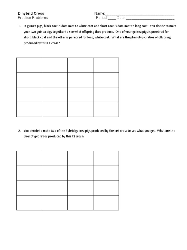 Dihybrid-Cross-Practice-editable | PDF