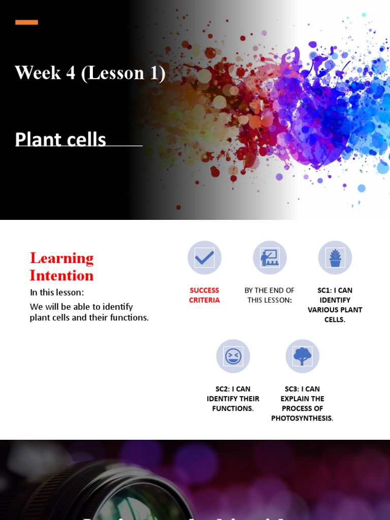 Year 8 Science Lesson | PDF