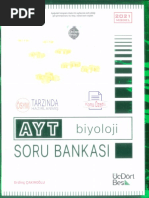 2025 Arı Yayınları TYT - AYT Paragrafın Ritmi | PDF