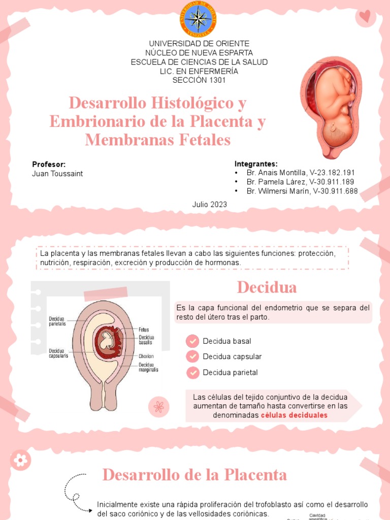 Desarrollo de Placenta y Membranas Fetales | PDF | Placenta | Feto
